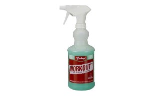 Buckeye® Grip & Go!® Workout Cleaner Bottle & Trigger Sprayer, Clear ...